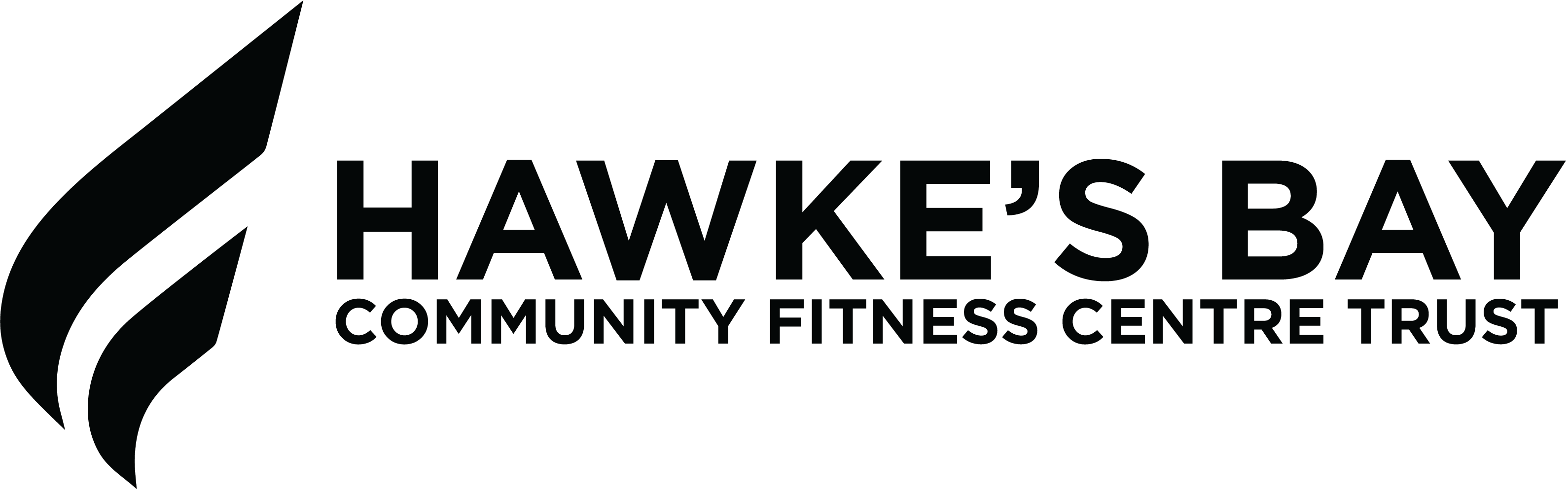 Appoint Hawke s Bay Community Fitness Centre Trust appoint-hawke-s-bay-community-fitness-centre-trust